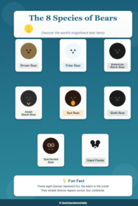 Ultimate Bear Quiz Questions: 100+ Fun, Hard & Easy Trivia With Free ...