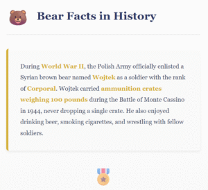 Ultimate Bear Quiz Questions: 100+ Fun, Hard & Easy Trivia With Free ...