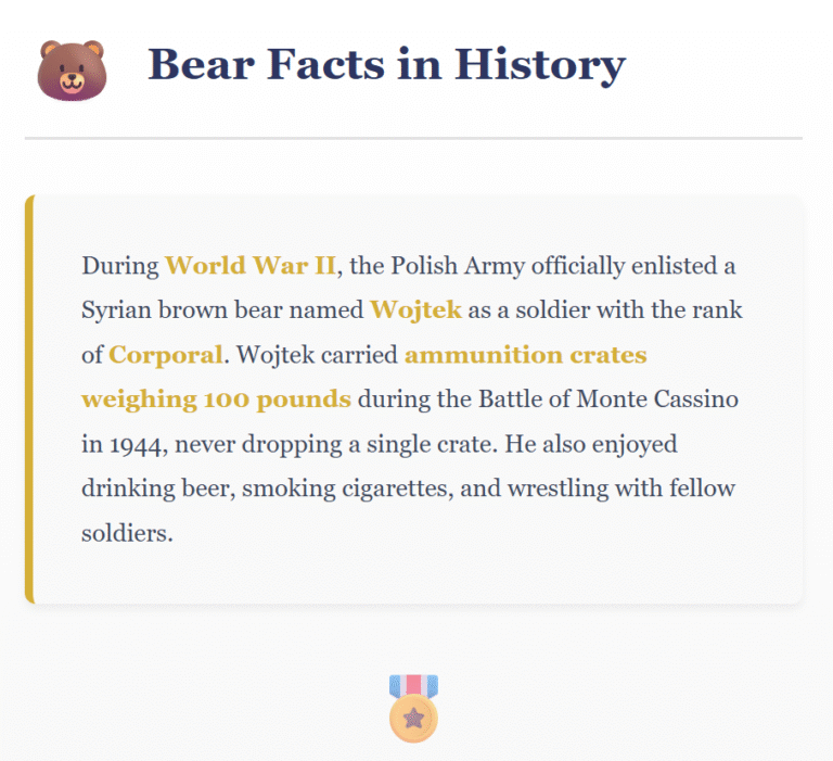 Ultimate Bear Quiz Questions: 100+ Fun, Hard & Easy Trivia With Free ...