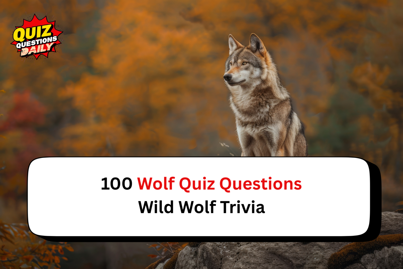 100 Wolf Quiz Questions: Wild Wolf Trivia